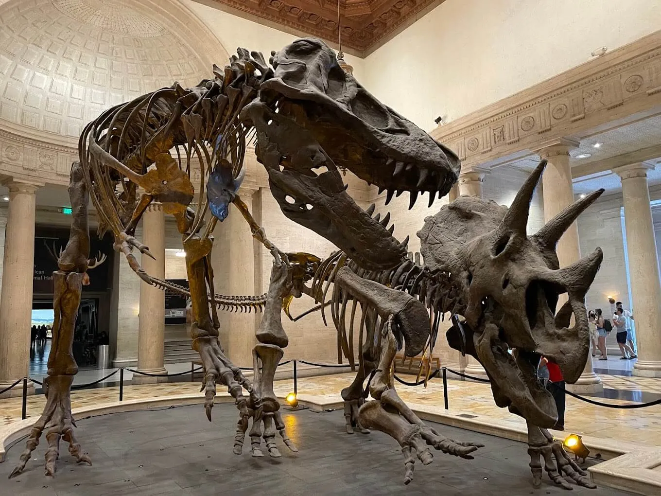 Best Dinosaur Museums in the US: The Largest Dinosaur Collections
